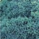 Junk Your Junipers - Wildfire Partners